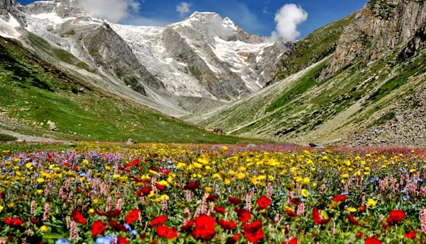 Valley of Flowers - Treebo Blog