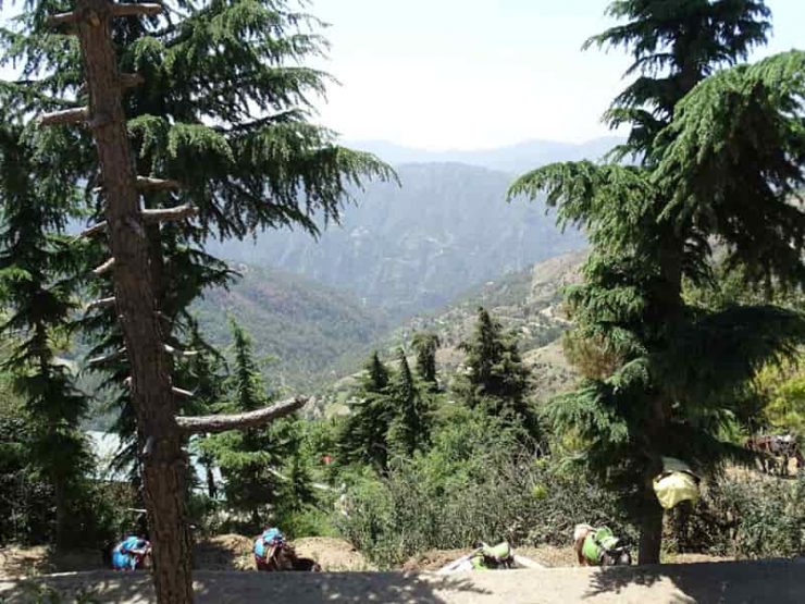 The Cool Connect: 16 Places to Visit in Shimla - Treebo Blog
