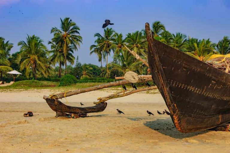 37 Best Beaches in India - The Gateway To Heaven - Treebo Blog