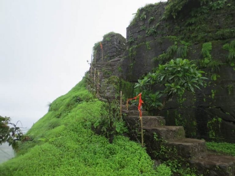 The 20 Most Stunning Forts in Maharashtra – Treebo Blog