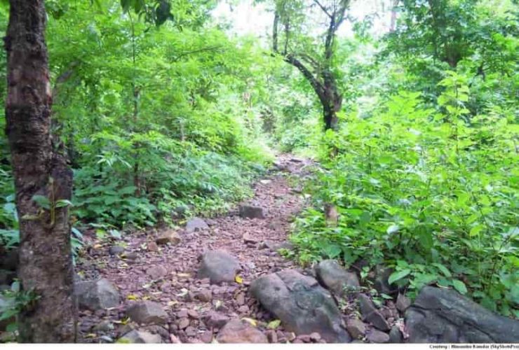 18 Amazing Spots for Trekking in Mumbai - Treebo Blog