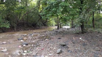 18 Amazing Spots for Trekking in Mumbai - Treebo Blog