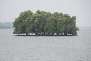 10 Scenic Lakes in Mumbai You Must Visit - Treebo Blog