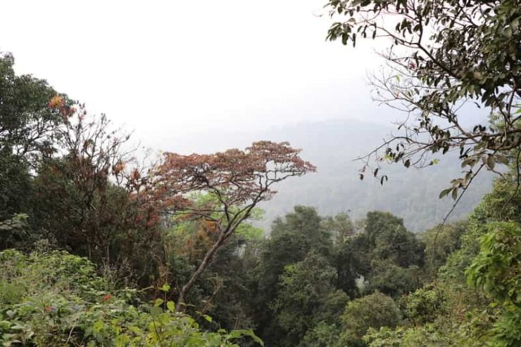 7 Goa Hill Station to Consider Visiting For Better Exploration - Treebo ...