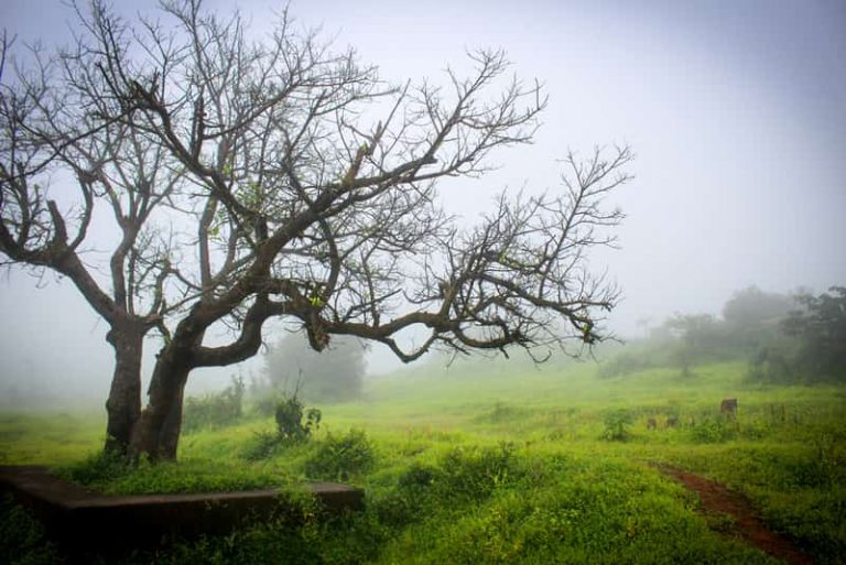 7 Goa Hill Station to Consider Visiting For Better Exploration - Treebo ...