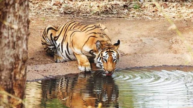 The Top 12 National Parks In Mumbai For Nature Lovers - Treebo Blog