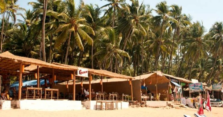 The 17 Best Beach Shacks in Goa For A Fun Time – Treebo Blog