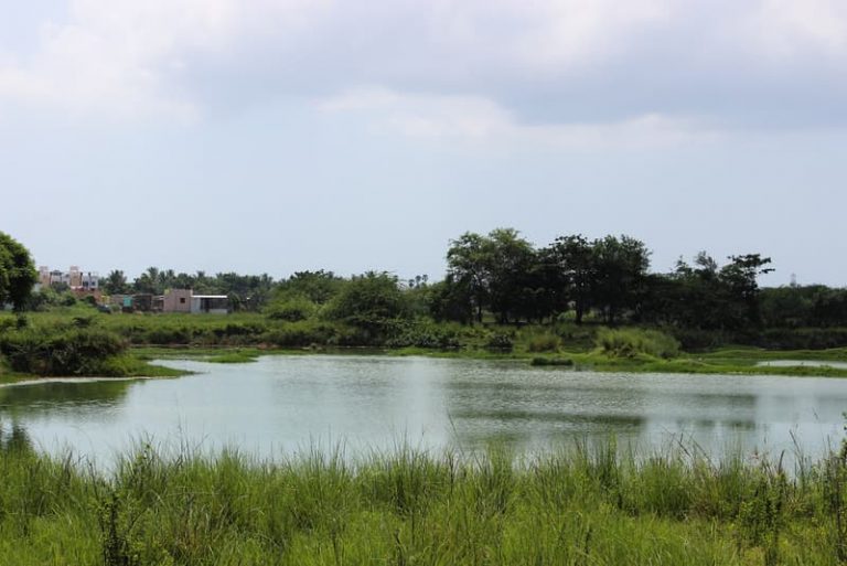 11 Lakes in Chennai that are a Boon to the Place - Treebo Blog