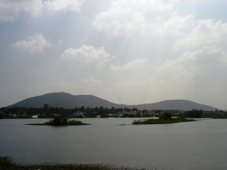 11 Lakes in Chennai that are a Boon to the Place - Treebo Blog