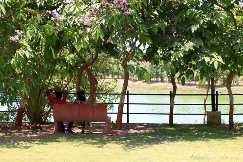 The 16 Best Romantic Places to Visit for Couples in Surat – Treebo Blog