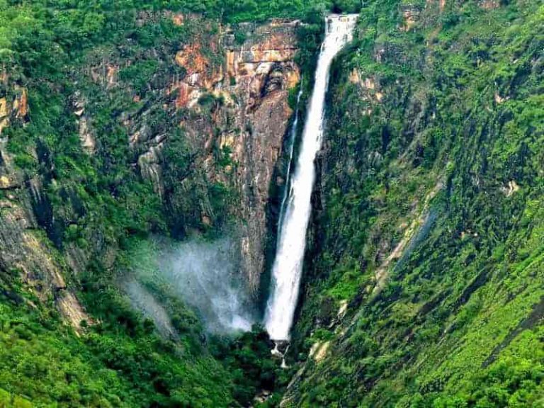The 10 Highest Waterfalls in India - Treebo Blog
