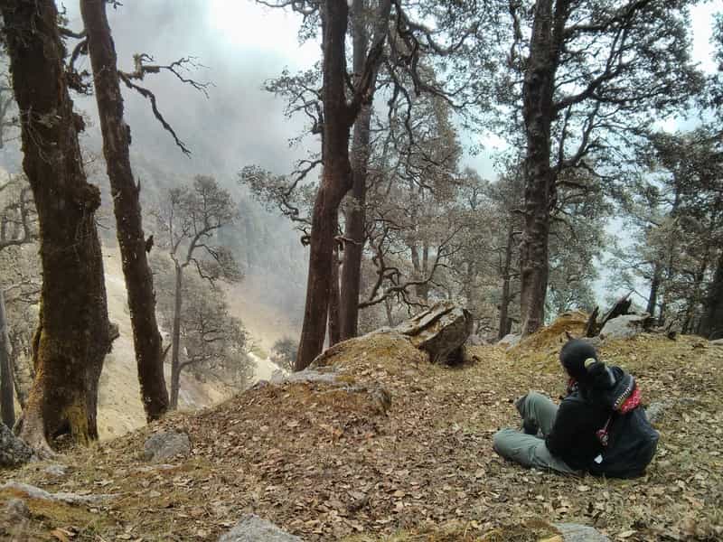 Everything You Need To Know About Triund Trek - Treebo Blog