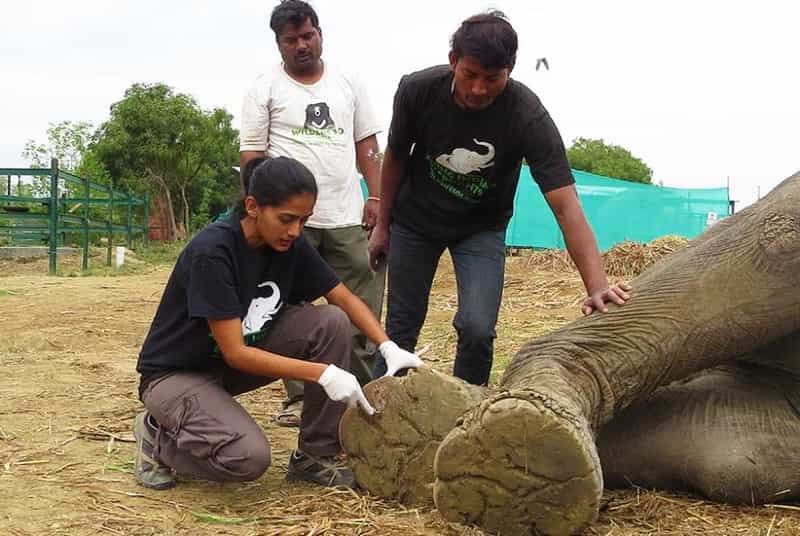 10 Monuments, Places & Foods Agra is Famous For – Treebo Blog