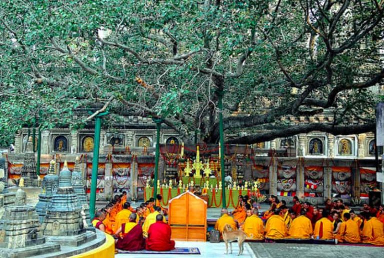 18 Most Important Buddhist Pilgrimage Places - Treebo Blog
