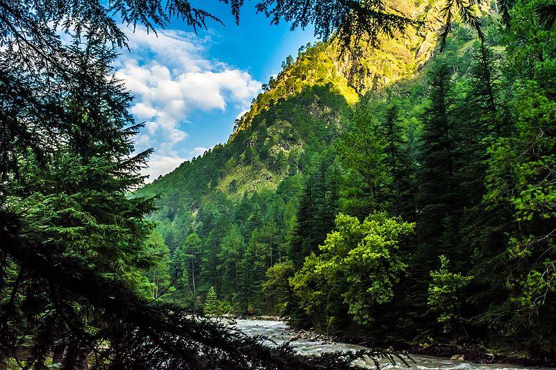 19 Incredible Road Trips in India That Every Passionate Traveller Must ...