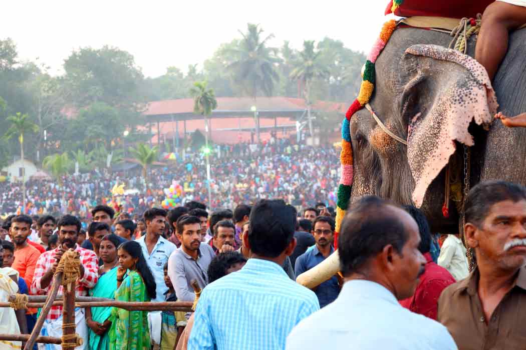 11 Regional Festivals of India You Probably Haven't Heard Of - Treebo Blog