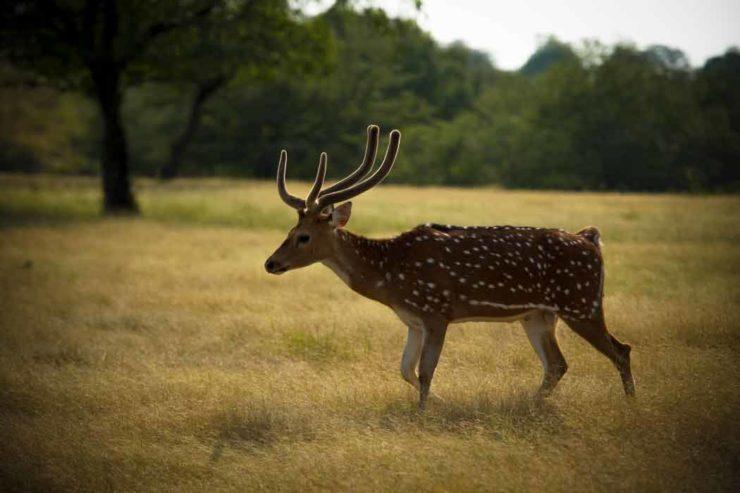 14 Weekend Destinations Near Hyderabad - The Ultimate Guide - Treebo Blog