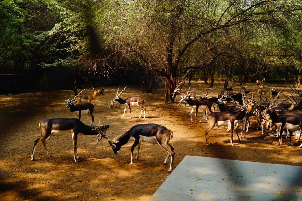 22 Best Places to Visit in Vizag – Treebo Blog