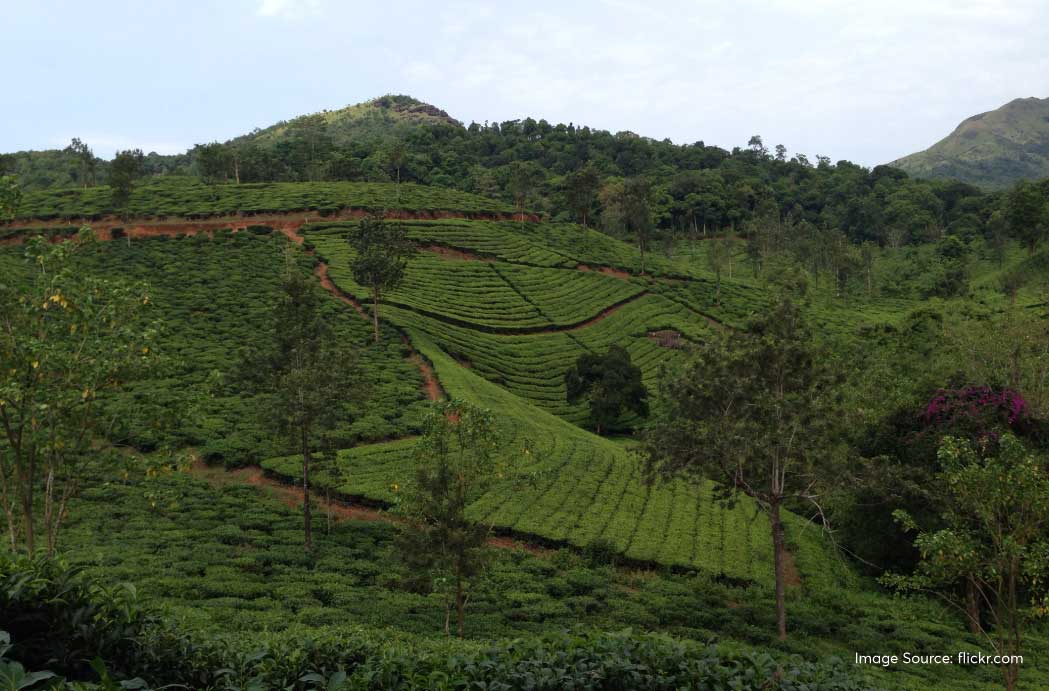 10 Offbeat Hill Stations Near Coimbatore That Are Worth Visiting ...