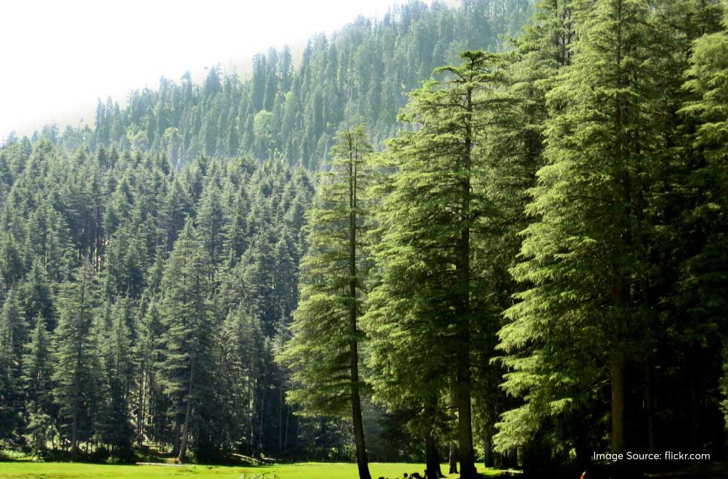 Visit The Mini Switzerland Of India- Khajjiar And Take The Feel Of ...