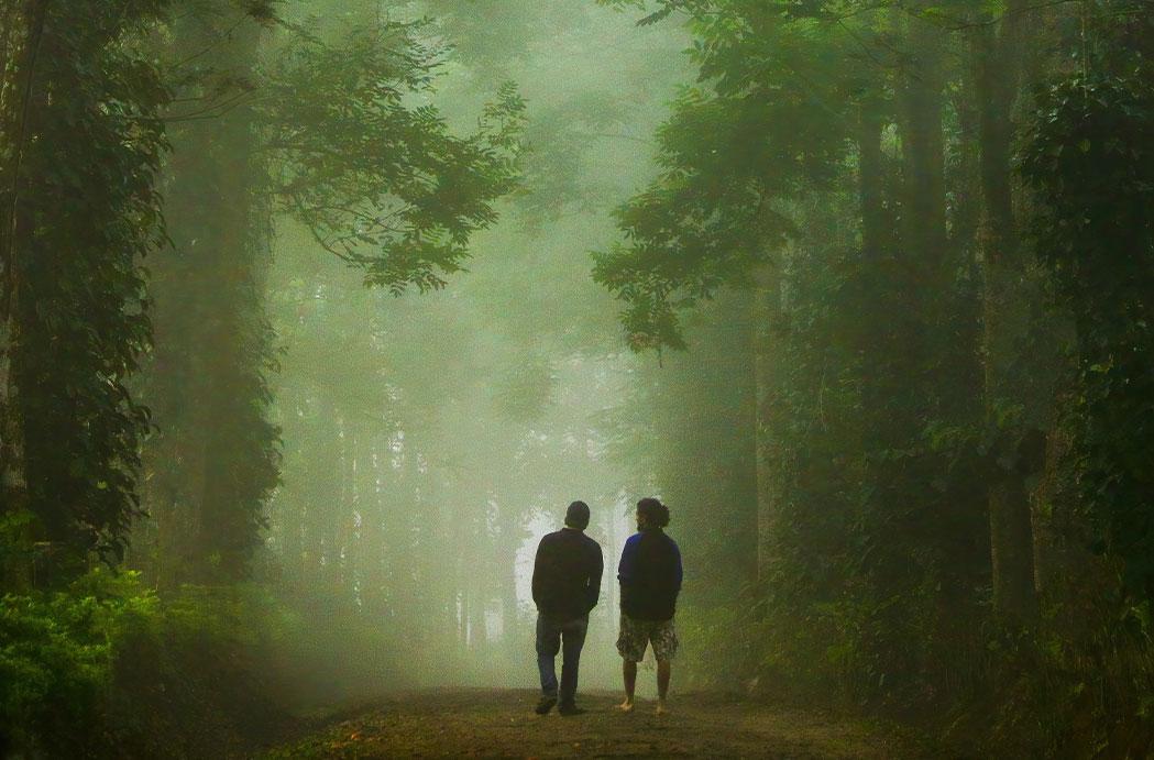 Coorg Best Time to Visit: The Perfect Season to Make Memories in the ...