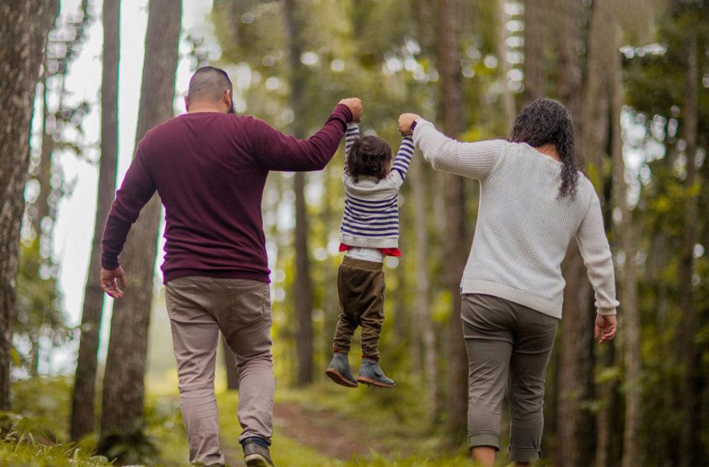 Explore The Best Time To Visit Ooty For An Unforgettable Experience - Treebo Blog