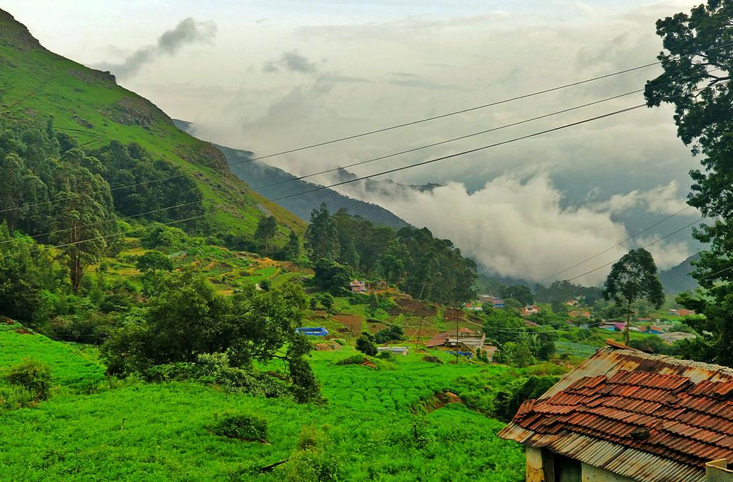 Explore The Best Time To Visit Ooty For An Unforgettable Experience - Treebo Blog