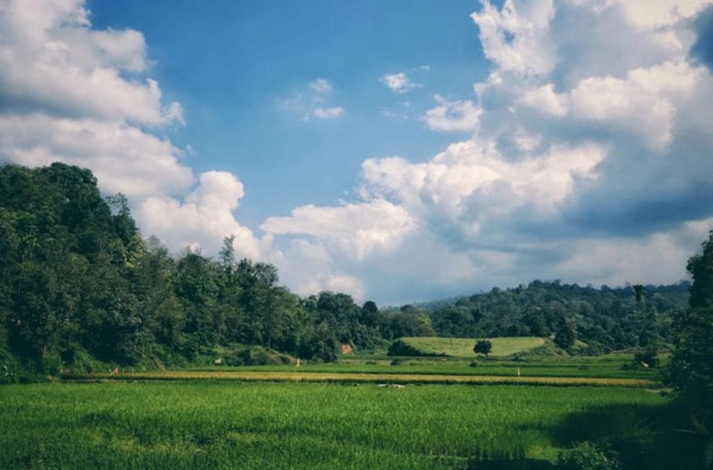 Coorg Best Time to Visit: The Perfect Season to Make Memories in the ...