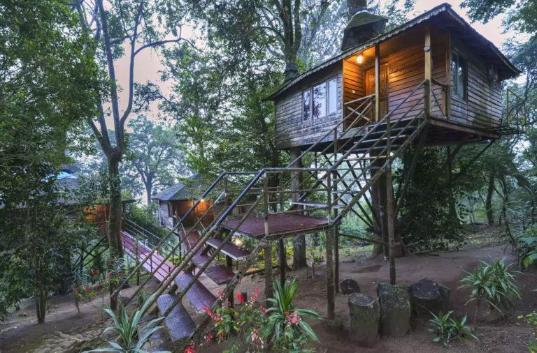 Into the Lap of Nature: 15 Enchanting Tree Houses in India – Treebo Blog