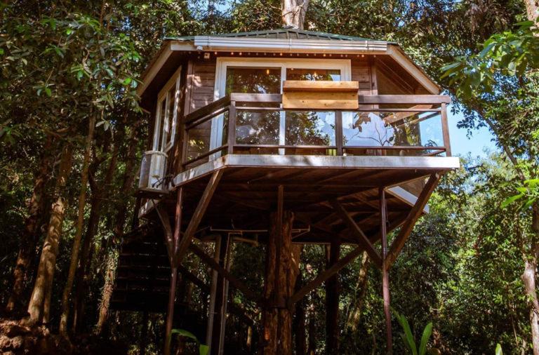 Into the Lap of Nature: 15 Enchanting Tree Houses in India - Treebo Blog