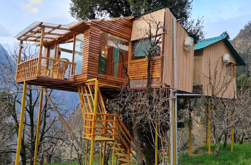 Into the Lap of Nature: 15 Enchanting Tree Houses in India - Treebo Blog