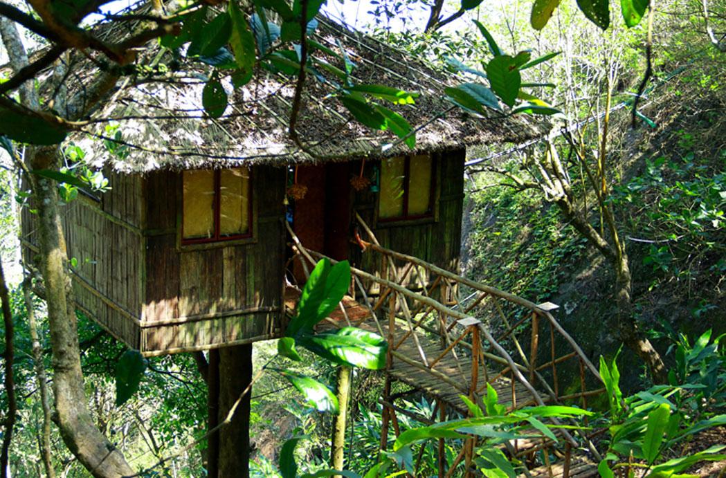 Into the Lap of Nature: 15 Enchanting Tree Houses in India – Treebo Blog