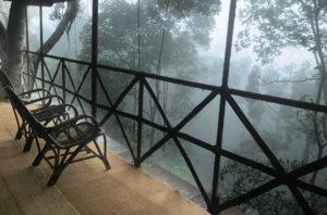 Into the Lap of Nature: 15 Enchanting Tree Houses in India - Treebo Blog