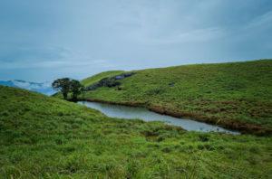 Best Time to Visit Wayanad – A Quick Guide For Travellers – Treebo Blog