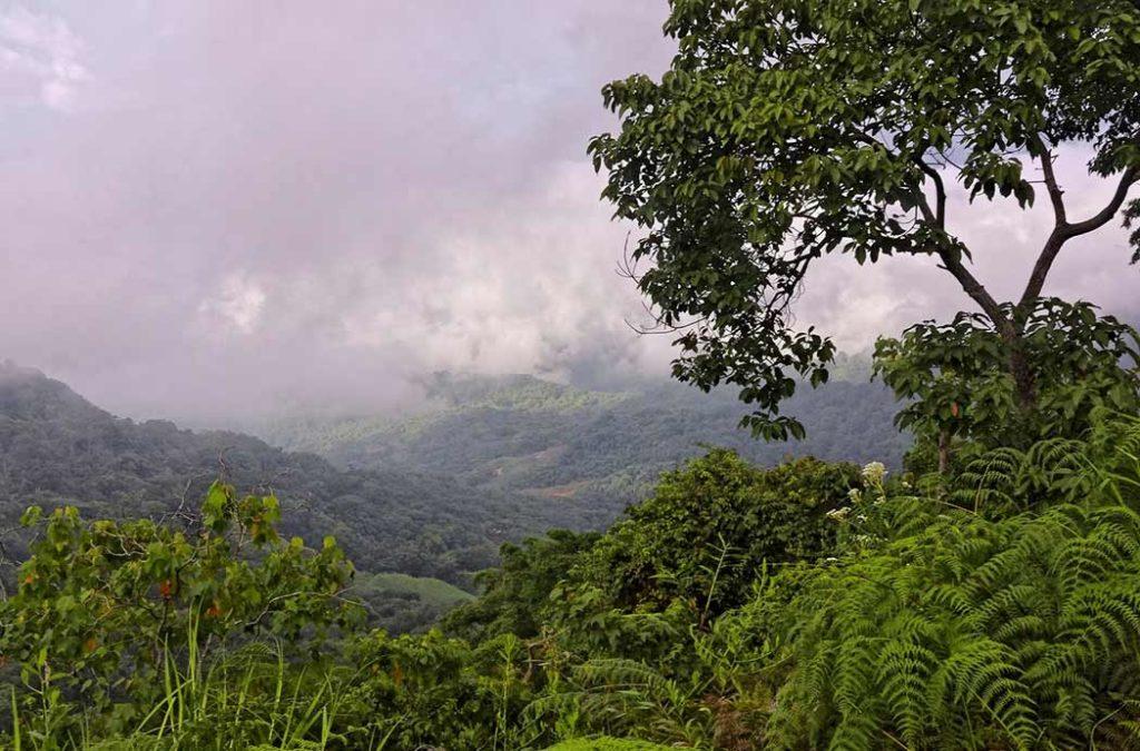 Here is the Best Time to Visit Mussoorie to Experience its Natural ...