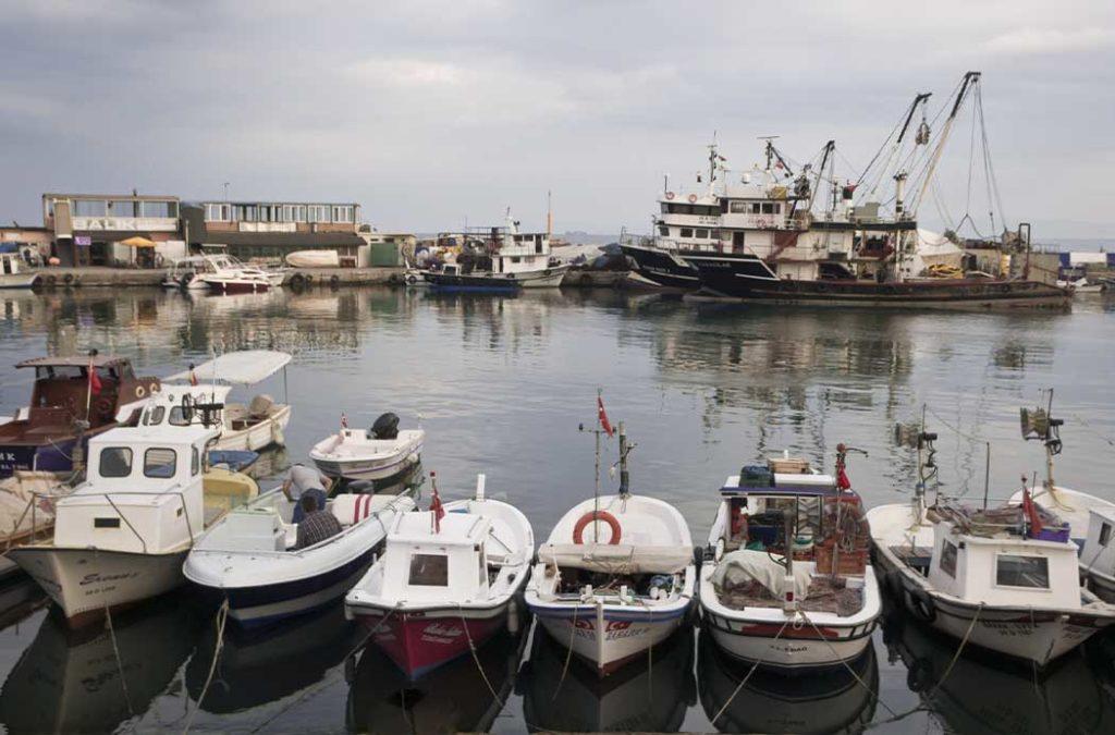 Meet the Waters: 12 Ferry Rides in India for an Exquisite Experience ...