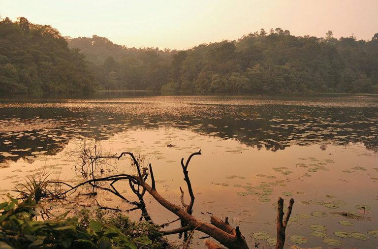Best Time to Visit Wayanad - A Quick Guide For Travellers - Treebo Blog