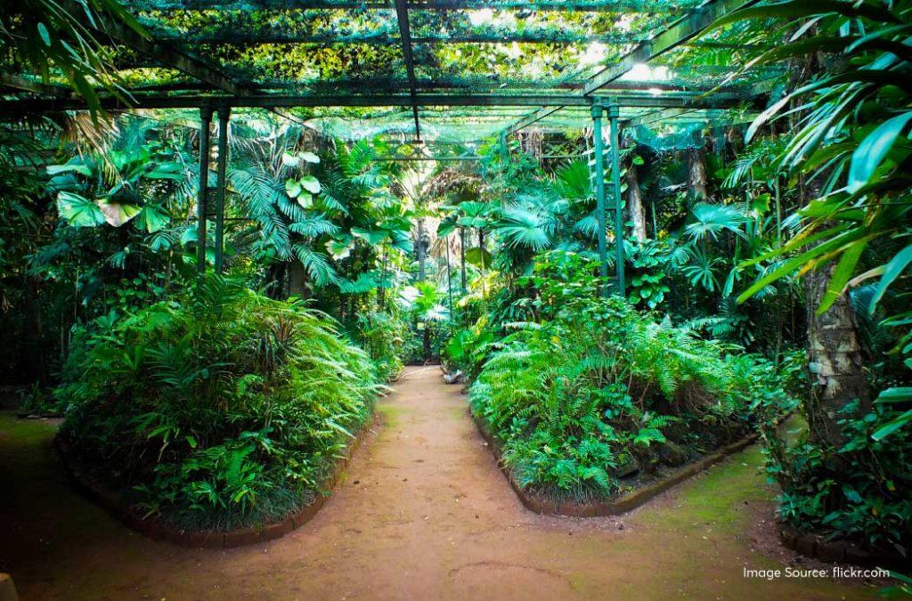 12 Botanical Gardens in India: A Guide to India's Rich Biodiversity ...