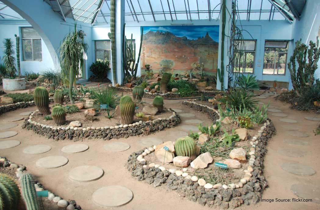 12 Botanical Gardens in India: A Guide to India's Rich Biodiversity ...