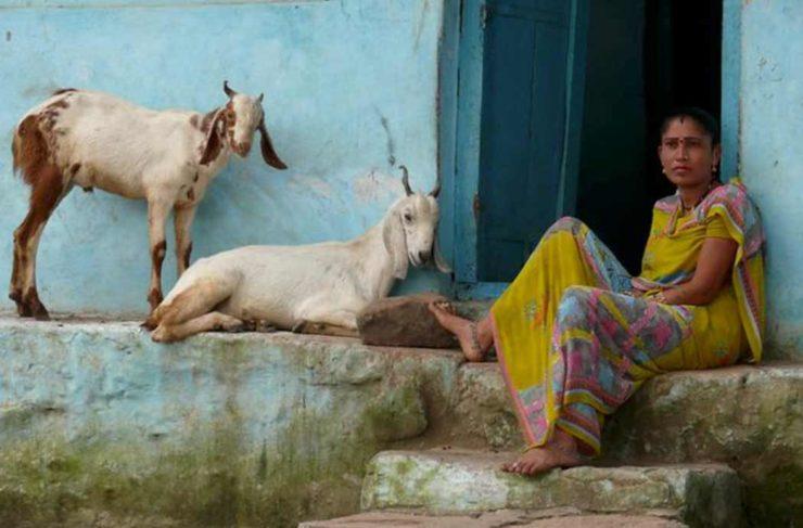 Rural Tourism: Your Guide to Authentic Village Lifestyle in India ...