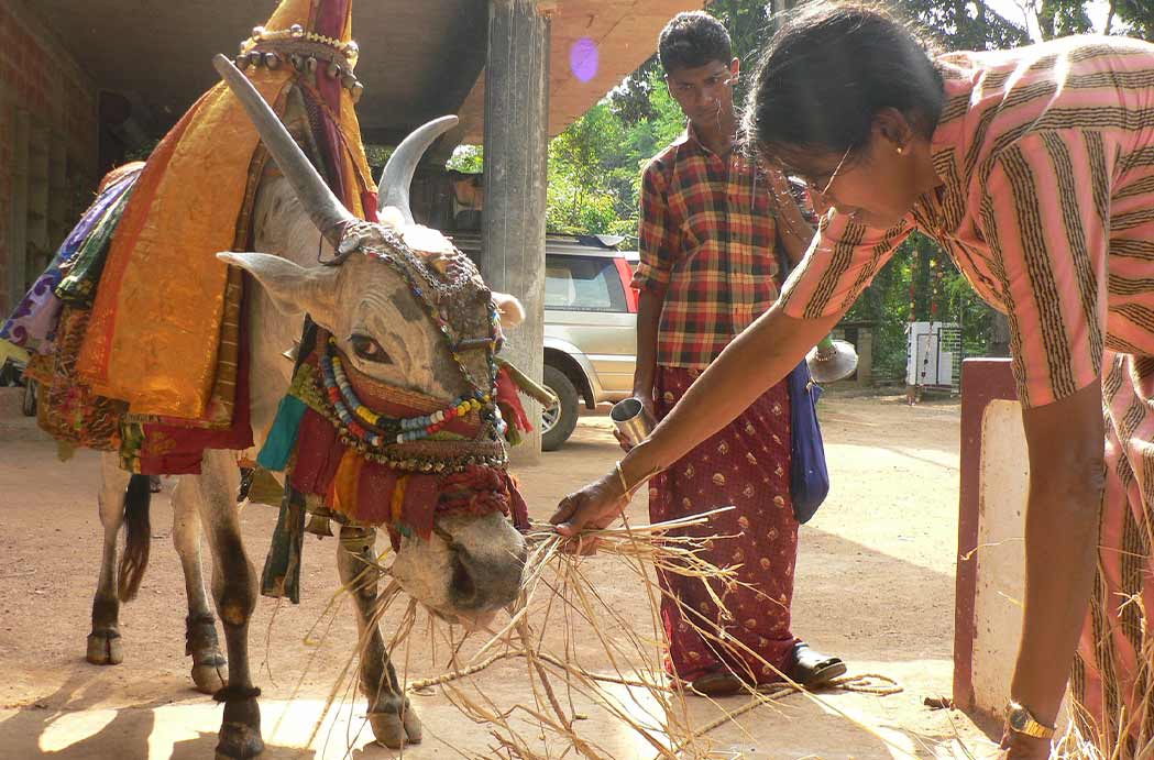 Rural Tourism: Your Guide to Authentic Village Lifestyle in India ...