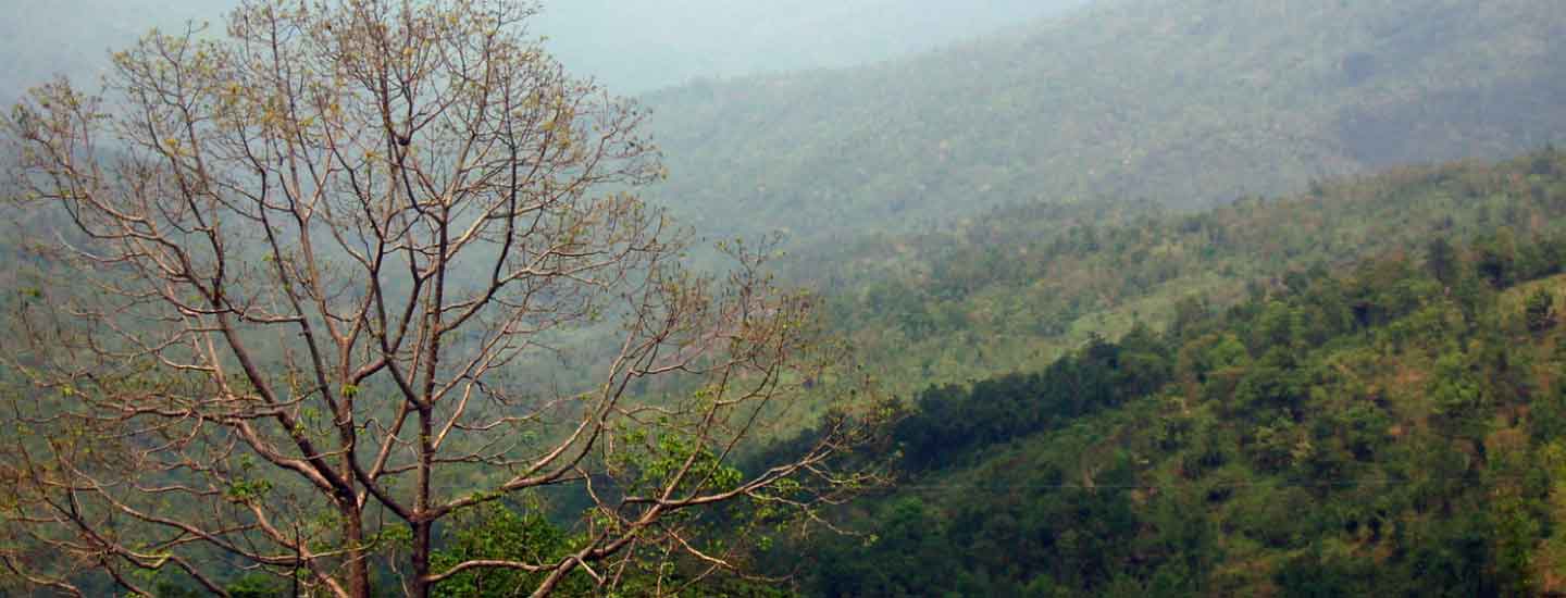 10 Mesmerizing Places to Visit in Dimapur to Unveil the Beauty of ...