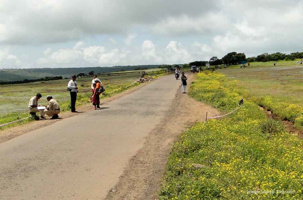 Kaas Pathar: Guide to Maharashtra's Magical Valley of Flowers - Treebo Blog