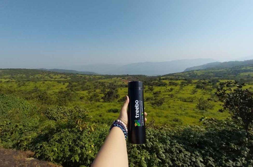 Kaas Pathar: Guide to Maharashtra's Magical Valley of Flowers - Treebo Blog