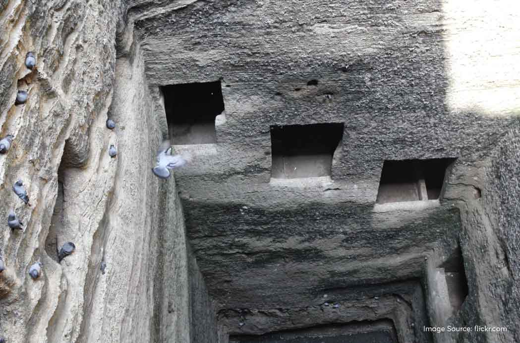 Stepwells in Gujarat: Discover and Explore the Rich Architectural ...