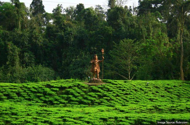 25+ Enchanting Tea Gardens in India for Blends and Brews – Treebo Blog