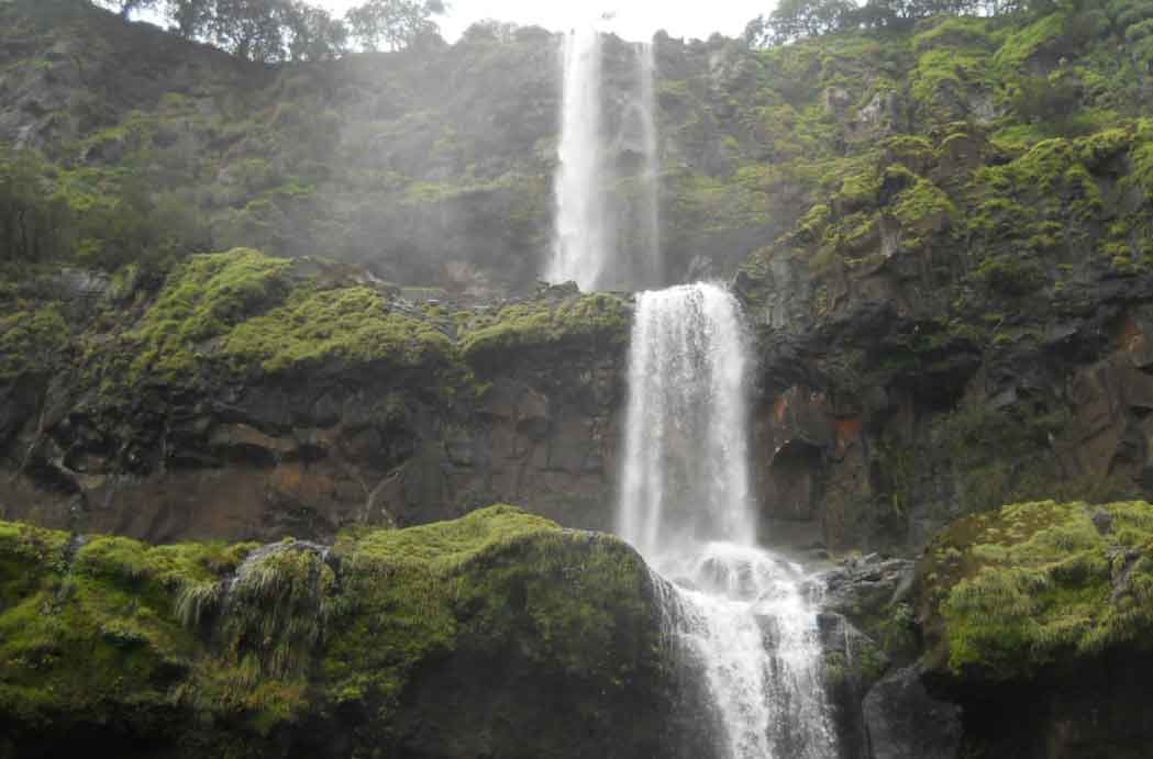 Kaas Pathar: Guide to Maharashtra's Magical Valley of Flowers - Treebo Blog