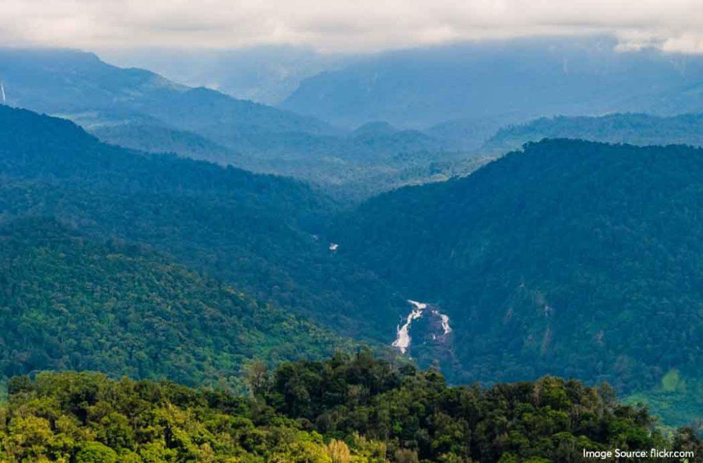 13 Places to Visit in Valparai to Immerse in the Land of Greens ...