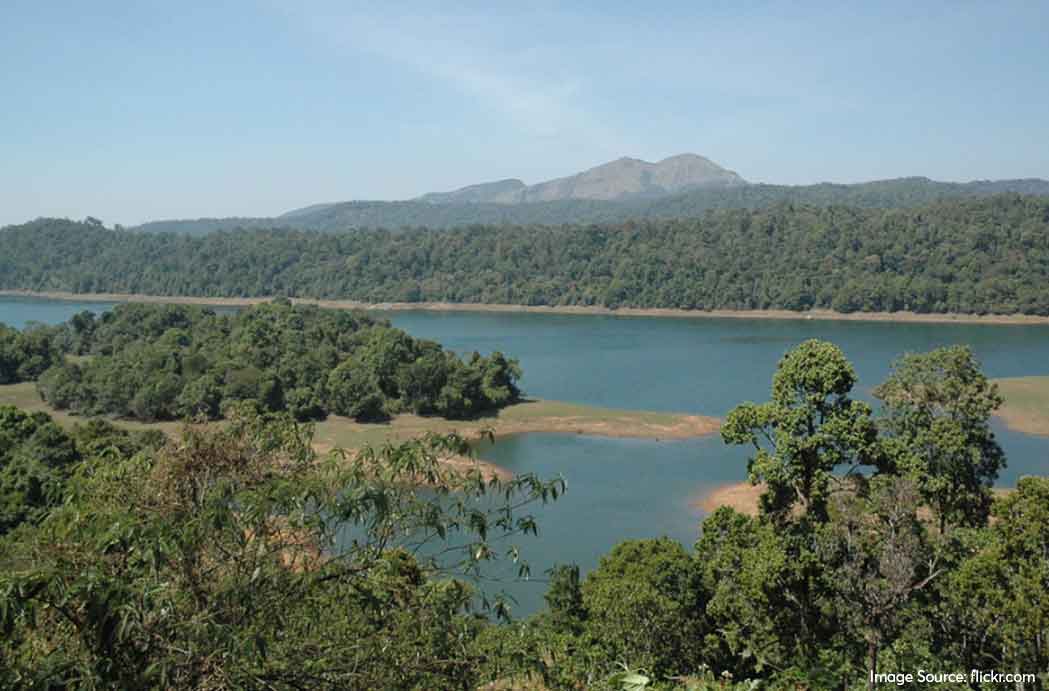 13 Places to Visit in Valparai to Immerse in the Land of Greens ...