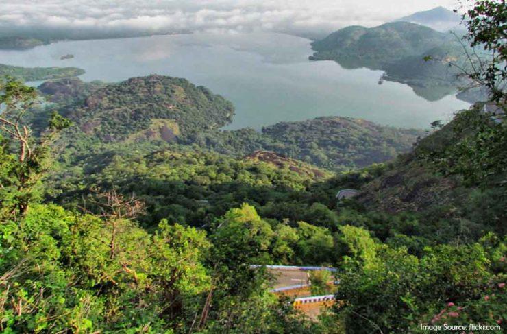 13 Places to Visit in Valparai to Immerse in the Land of Greens ...